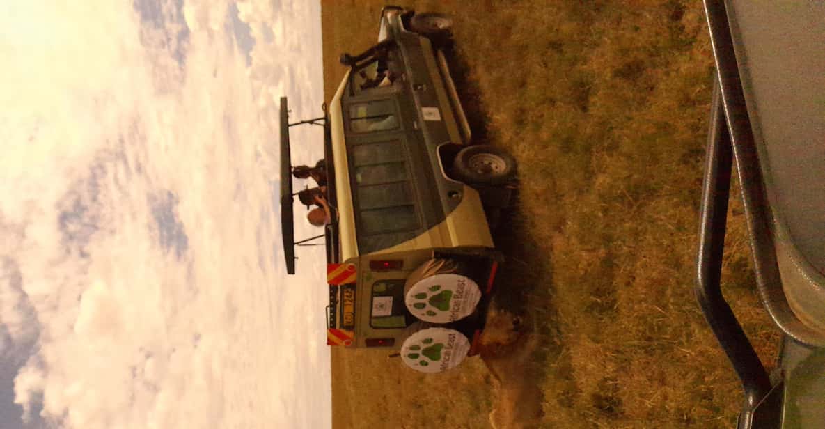 3 Days Maasai Mara Group Safari using a 4x4 Landcruiser | GetYourGuide