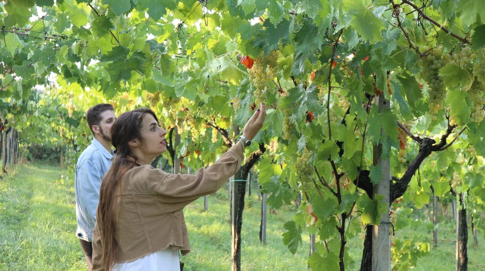 Contadina Breakfast at a Farm - 30 min from Rome | GetYourGuide