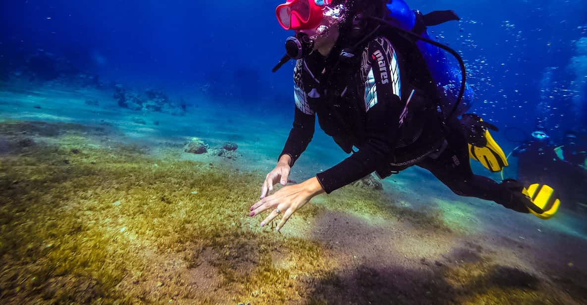 Scuba Diving in Aqaba and scuba Diving courses | GetYourGuide