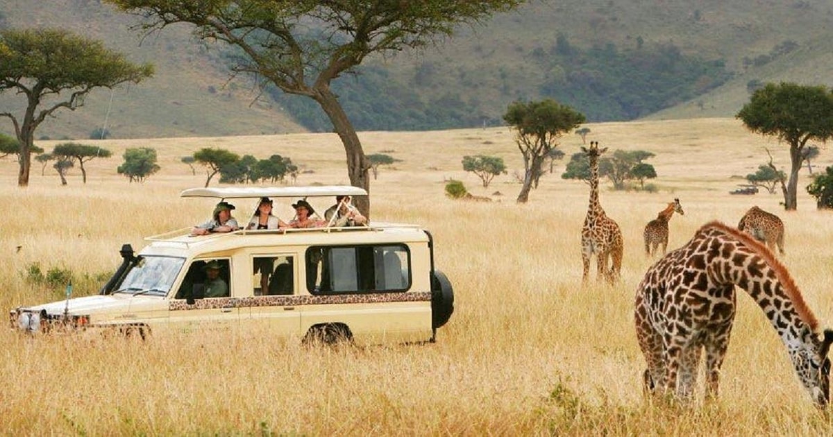 4 Days Tanzania Mid-Range Lodge Safari | GetYourGuide