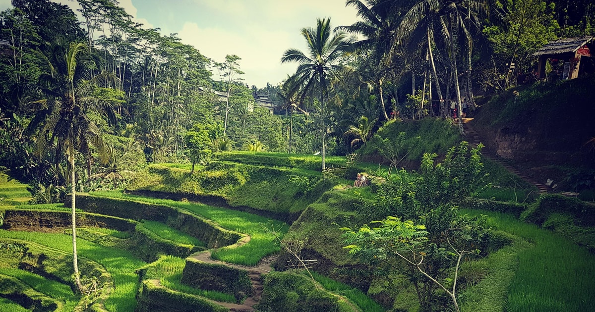 Ubud Top tour in een dag | GetYourGuide