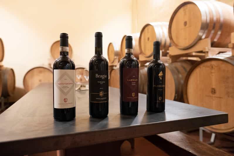 Siena: Winery tour/tasting with owner/maker of awarded wines | GetYourGuide