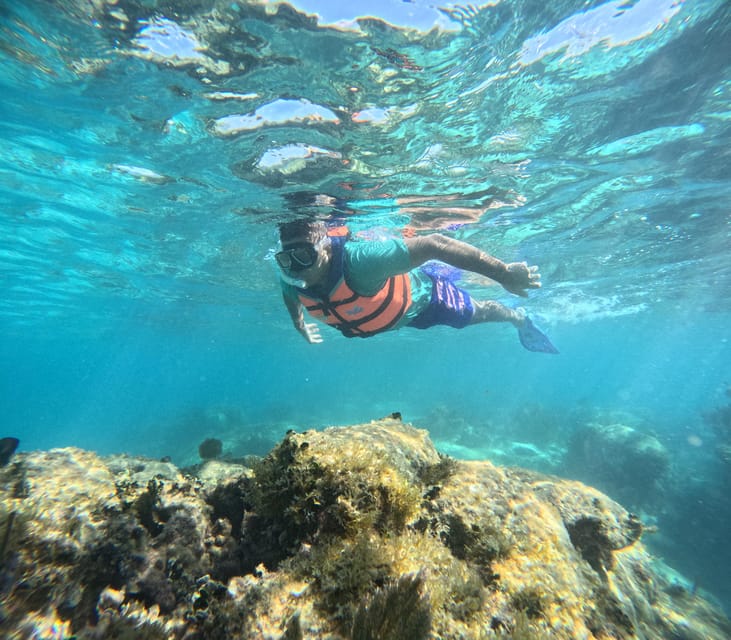 Snorkel Paradise Cancun and underwater museum in Nizuc | GetYourGuide
