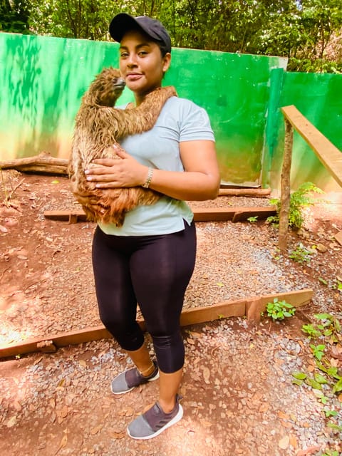 Roatan Sloths + Island Tour | GetYourGuide