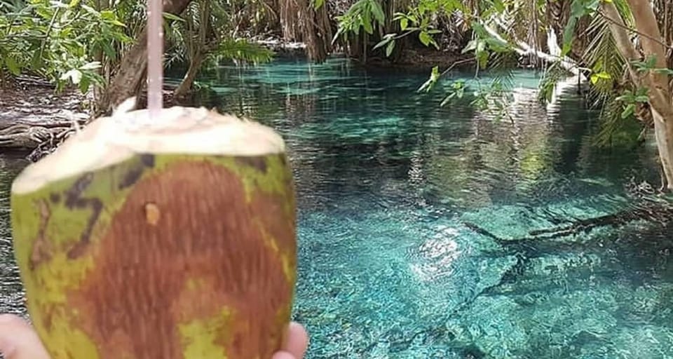 Chemka or Kikuletwa Hot Springs | GetYourGuide