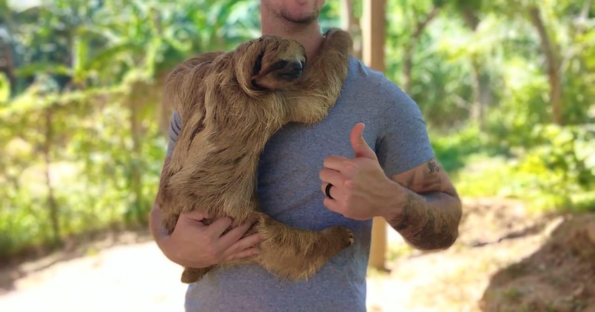 Animal Park & Sightseeing Tour | GetYourGuide