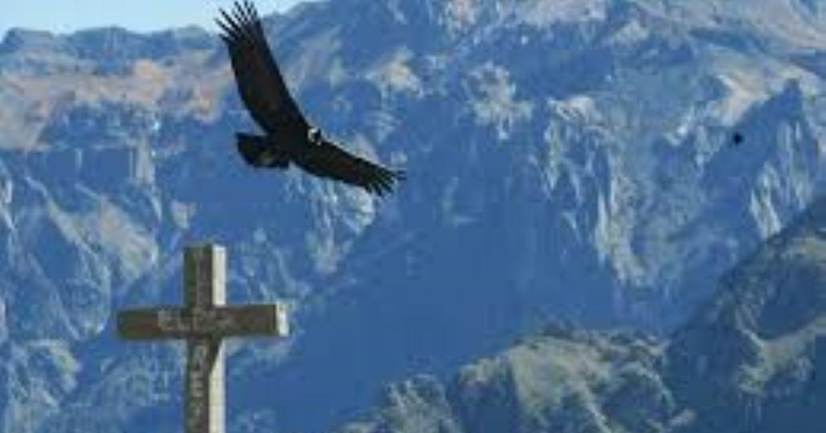 From Arequipa: Colca Canyon Day Trip | GetYourGuide