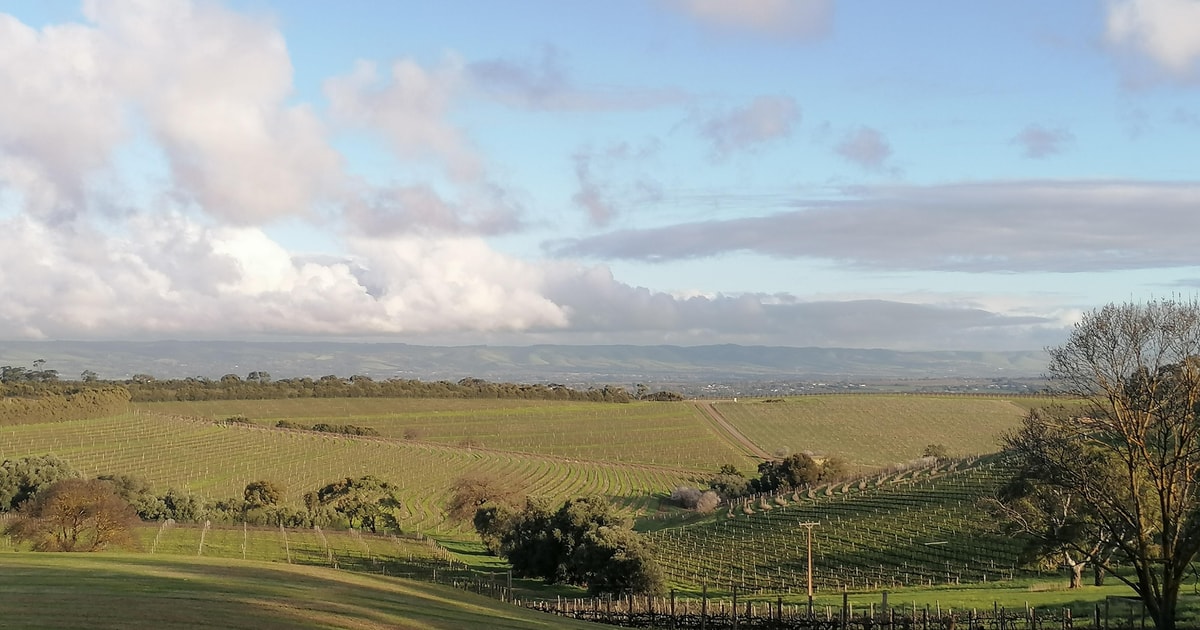 Adelaide: 6 hour Adelaide Hills Wine Tour (Private Driver) | GetYourGuide