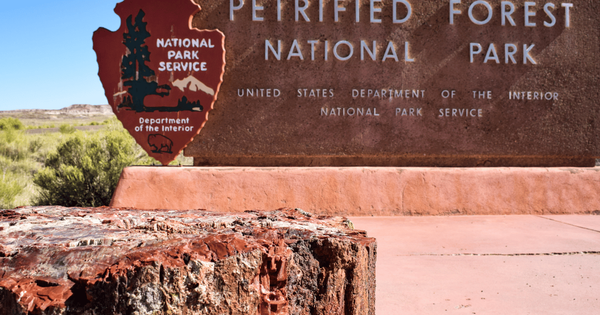 Petrified Forest National Park: Scenic Driving Tour | GetYourGuide