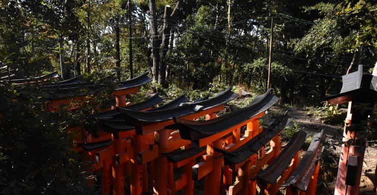 Inside of Fushimi Inari - exploring and lunch with locals | GetYourGuide