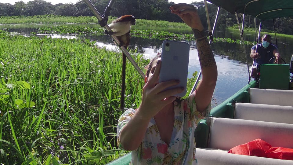 Panama: Monkey Island Gatun Lake Boat ride | GetYourGuide