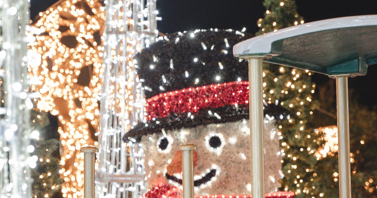 Bolonha: Conheça a Vila de Natal | GetYourGuide