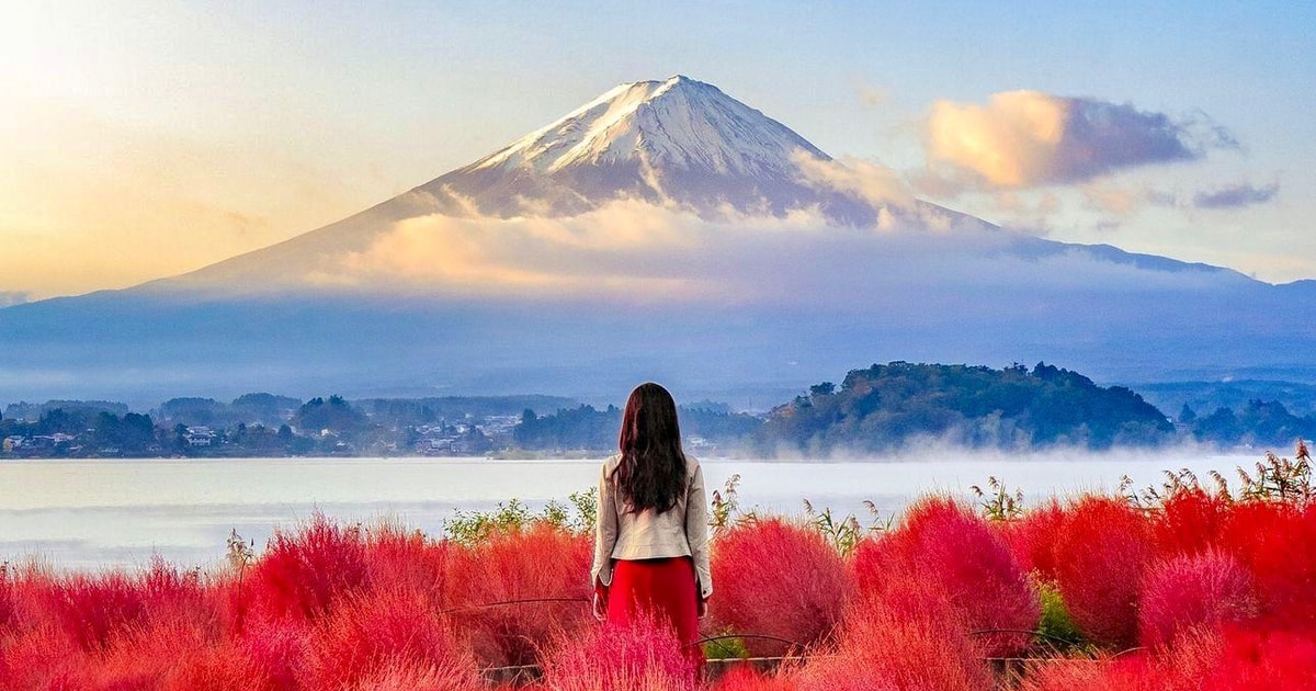 Von Tokio aus: Private Tagestour zum Berg Fuji mit englischem Guide | GetYourGuide