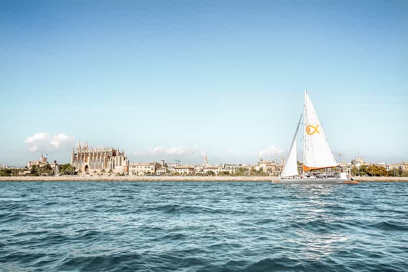 Palma de Mallorca: Half-Day Catamaran Tour with Buffet Meal | GetYourGuide