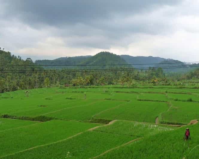 Bali: Beratan Temple, Jatiluwih & Handara Heaven Gate Tour | GetYourGuide