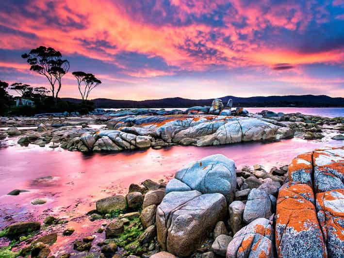 【Tasmania】10 Day All-Inclusive Hobart & Launceston Tour | GetYourGuide