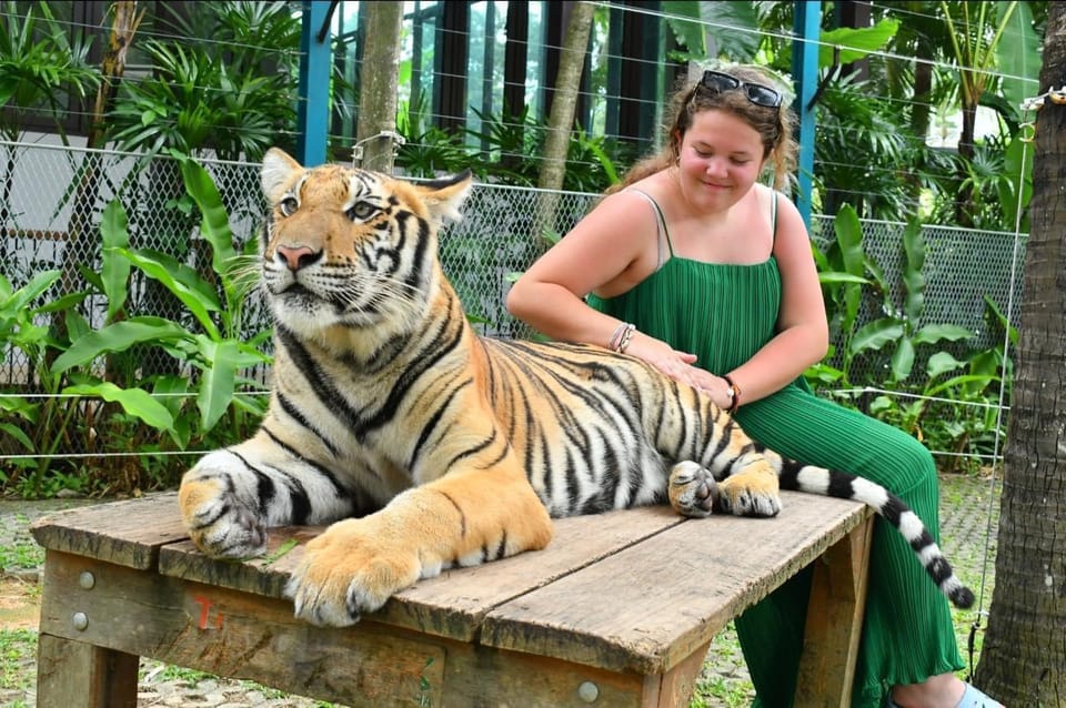 Phuket: City Tour Big Buddha Chalong Temple ATV & Ele Tiger | GetYourGuide