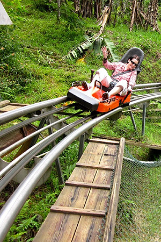 Dalat: Hot Attraction - Alpine Coaster- Mongoland-Datanla | GetYourGuide