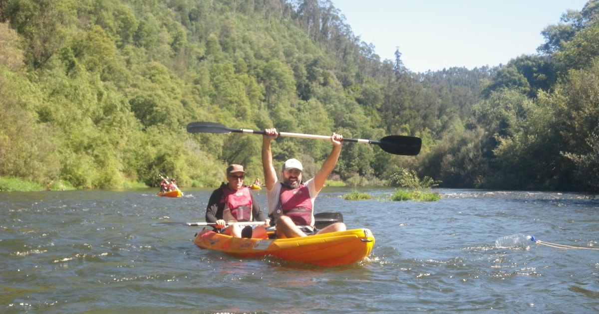 Descida do Rio Mondego em kayak | GetYourGuide