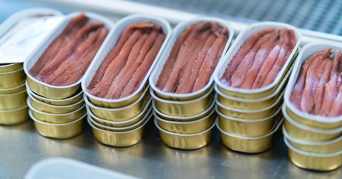Bezoek de fabriek van de beste ansjovis, Santoña, op maat gemaakt in het Spaans | GetYourGuide