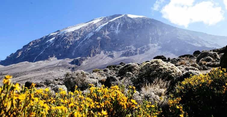 Best Kilimanjaro Day Hike Shira Plateau experience | GetYourGuide