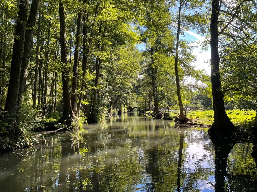 Tour a Spreewald with the biosphere boat ride | GetYourGuide