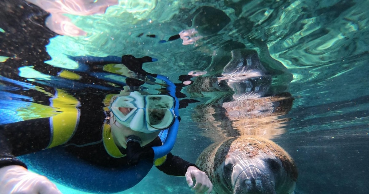 Crystal River: Manatee Swim and Sunset Boat Tour | GetYourGuide