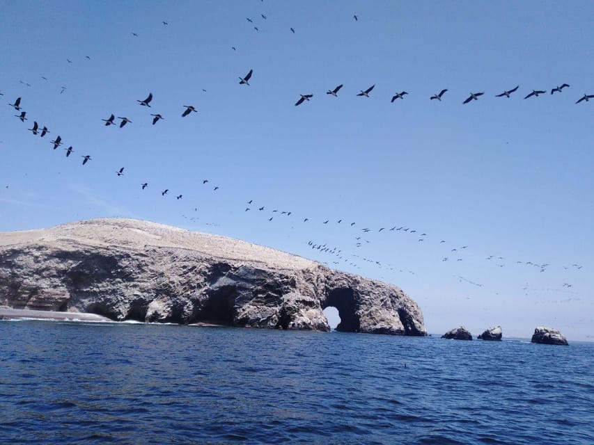 tours ballestas island form paracas | GetYourGuide