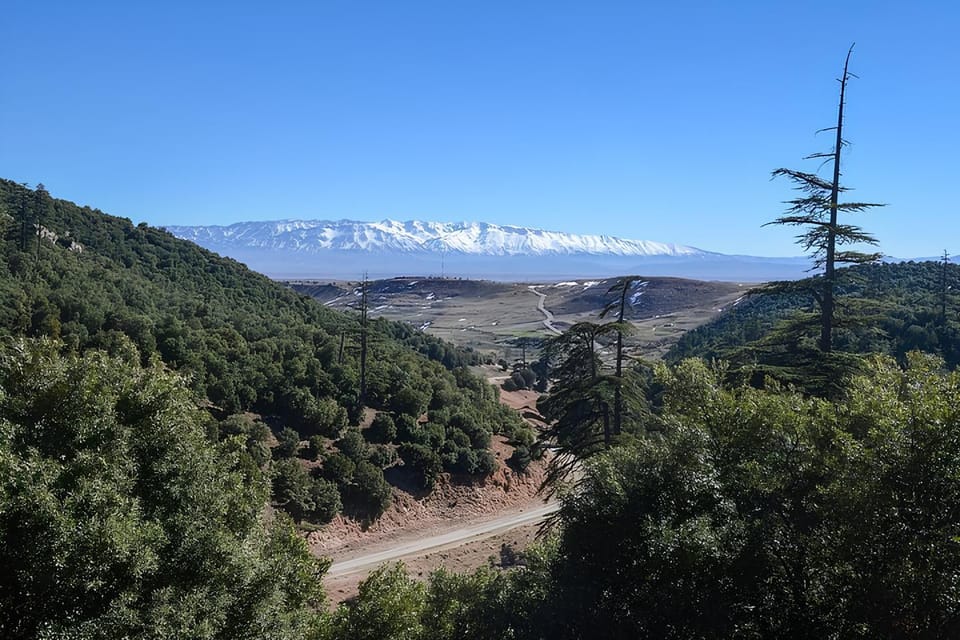 Fes: Day Trip to Middle Atlas: Imouzzer, Ifrane, Azrou | GetYourGuide