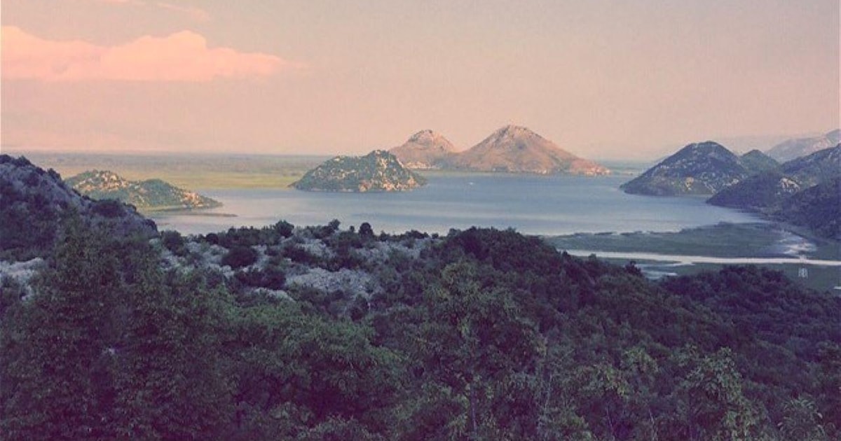 Lago Skadar: tour en barco de medio día (desde Podgorica) | GetYourGuide
