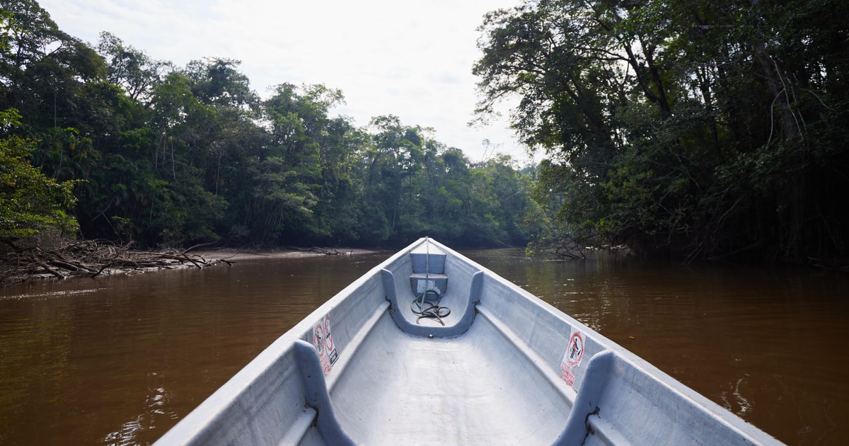 Cuyabeno: Aventura de 4 días en la selva amazónica con estancia en ...