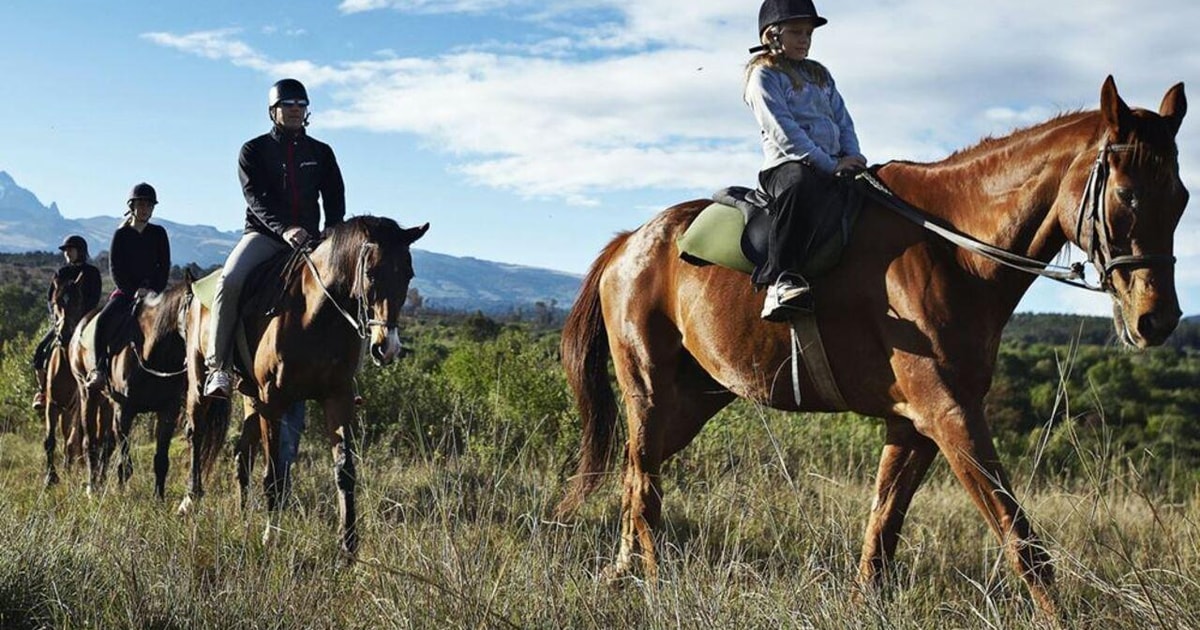 Istanbul: 1 Stunde Reiten mit ausgebildeten Pferden | GetYourGuide