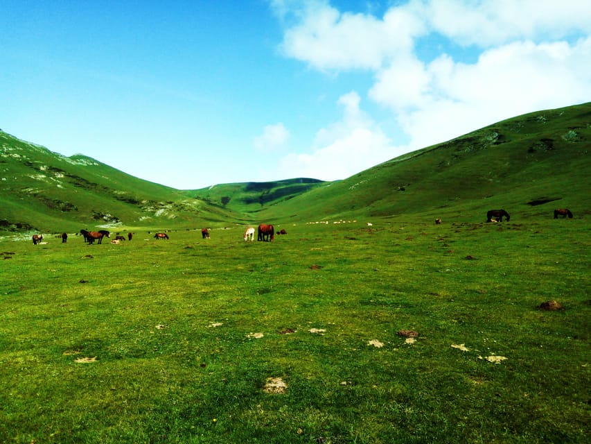 San Sebastián: Hike the Heart of the Basque Country | GetYourGuide