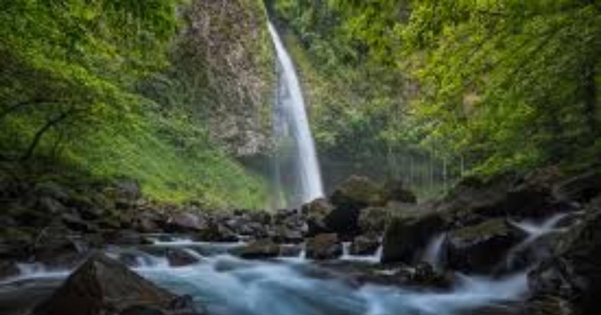 La Fortuna: Arenal Volcano, Waterfall, and Hot Springs Tour | GetYourGuide