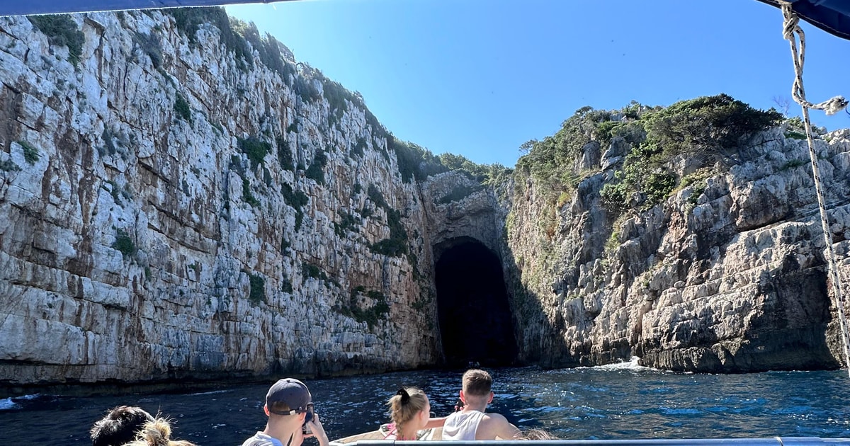 Vlore: Private Speedboat Tour to Haxhi Ali Cave | GetYourGuide