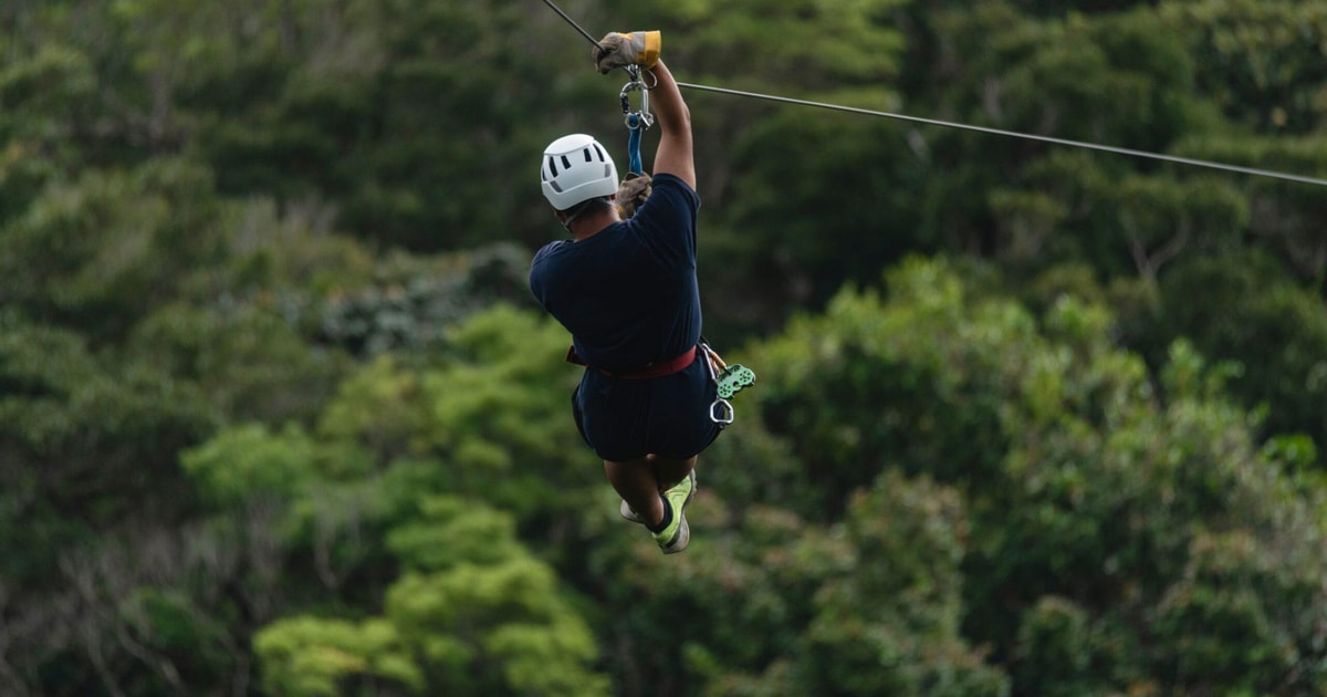 Exploring the jungle | Zip line, Canopy and Kayak | GetYourGuide