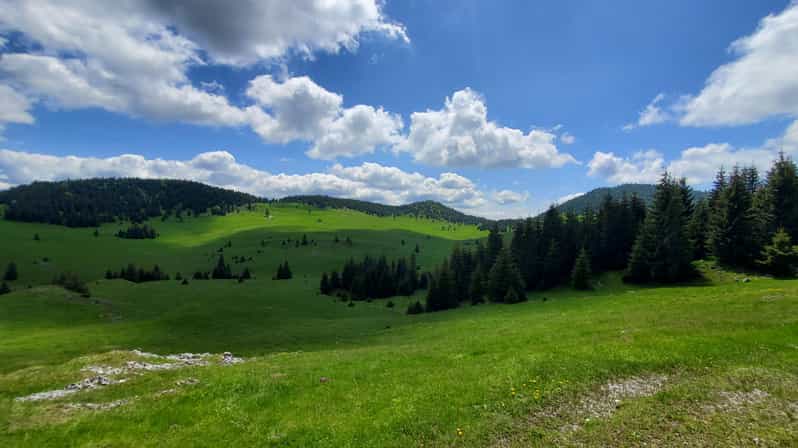 Padis: A hike or bike ride to the heart of Apuseni | GetYourGuide