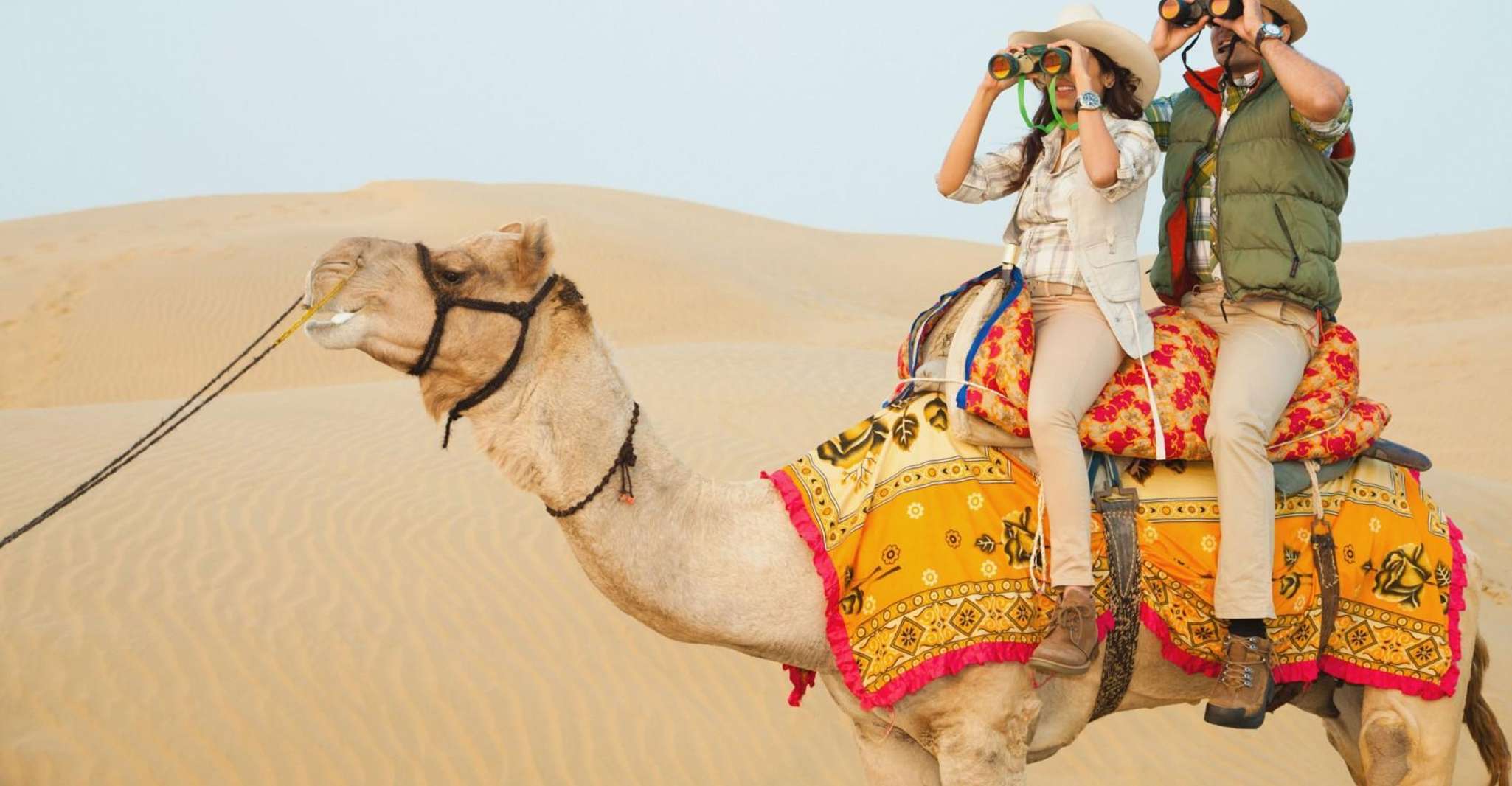 Doha,Safari,Camel Ride,Sandboarding Inland Sea Tour | Private Tour in Doha