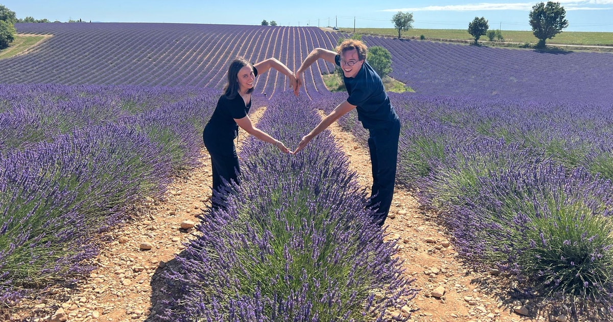 Fra Marseille: Valensole Lavendel Landudflugt | GetYourGuide