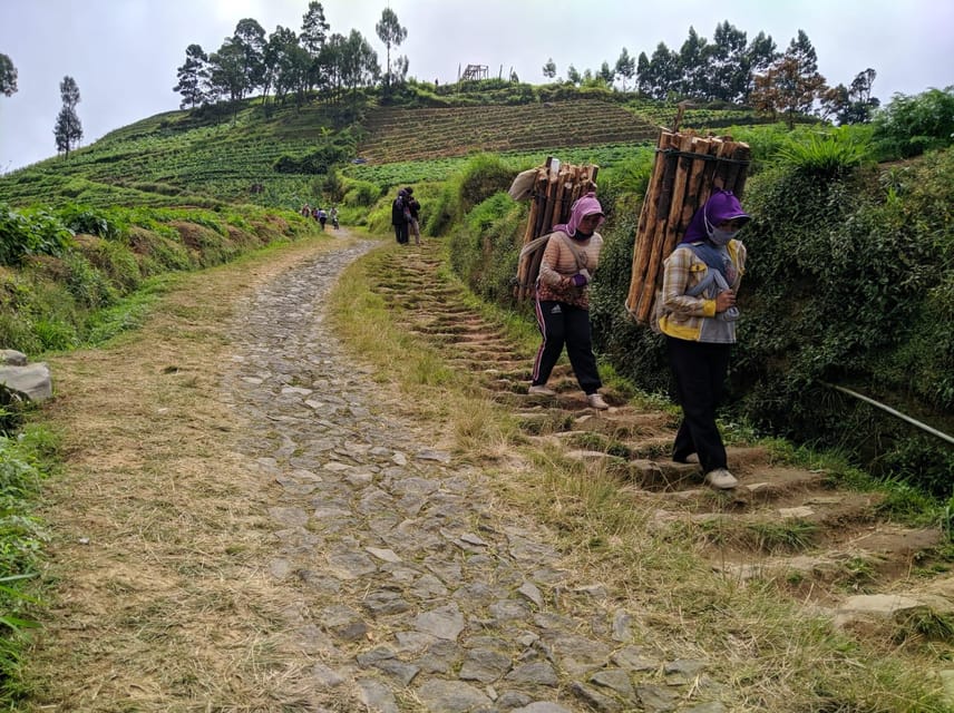 Yogyakarta :selogriyo temple, rice field trek& nepalvan java | GetYourGuide