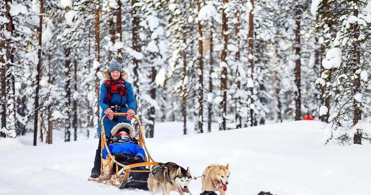 Rovaniemi: Santa Claus Village with Husky & Reindeer Ride | GetYourGuide