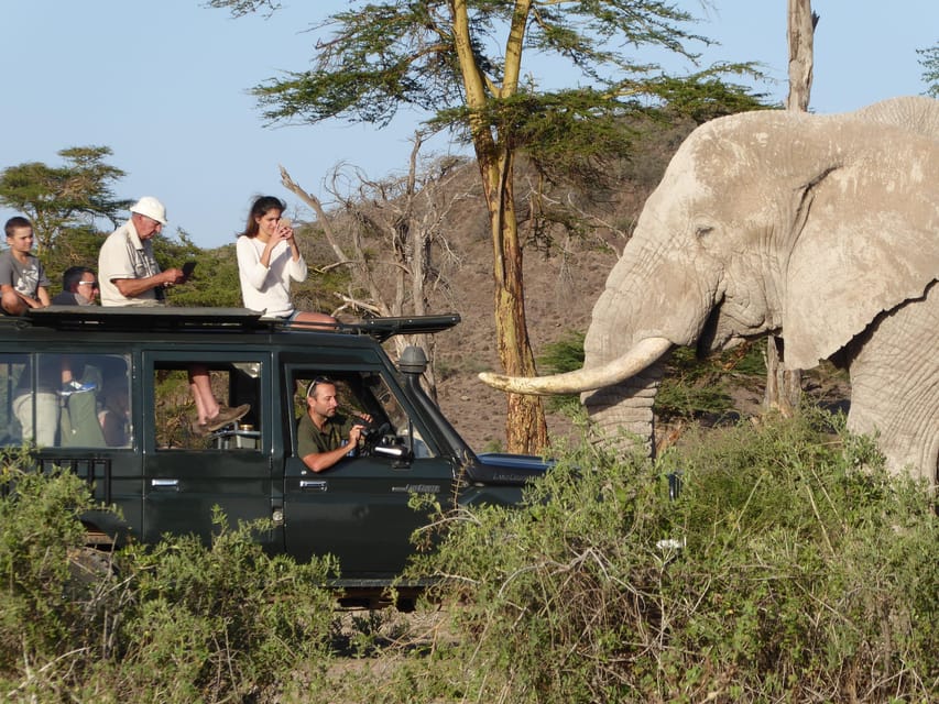 6-Days Go Kenya Safari-the Famous Masai Mara and Samburu | GetYourGuide