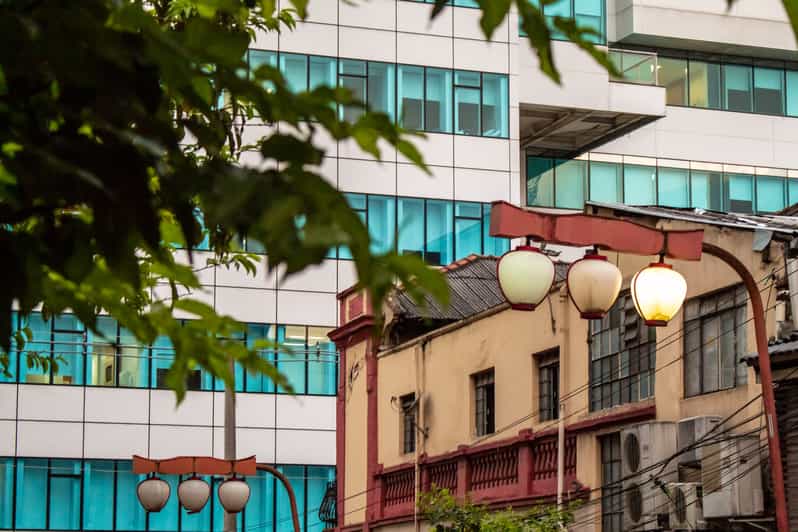 Sao Paulo: Liberdade Asian District Walking Tour | GetYourGuide