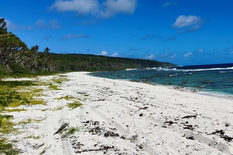 The BEST Tonga Tours and Things to Do in 2024 - FREE Cancellation ...