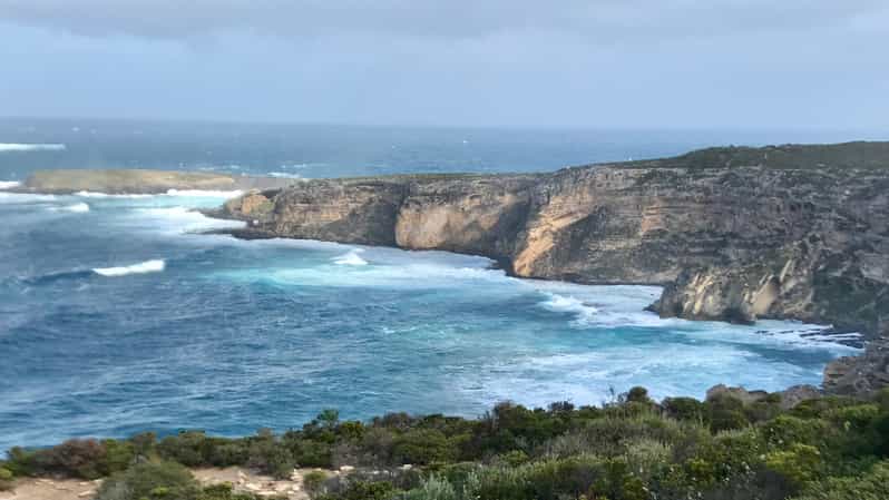 Kangaroo Island: Scenic, Nature & Wildlife Tour | GetYourGuide