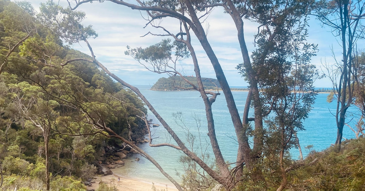 Sídney: Parque Nacional Ku-ring-gai con senderismo, playa y picnic ...