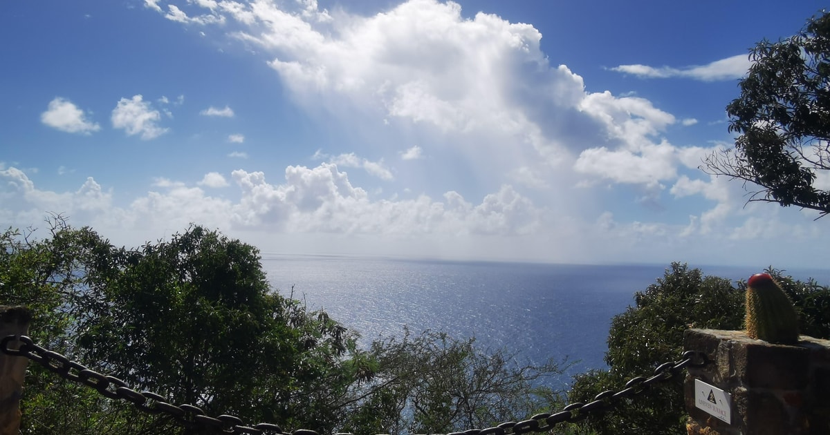 Excursión a la Isla Famosa | GetYourGuide