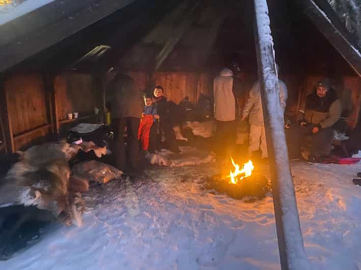 Tromsø: Snow Sledding with Reindeer Skins and Hot Beverages. | GetYourGuide