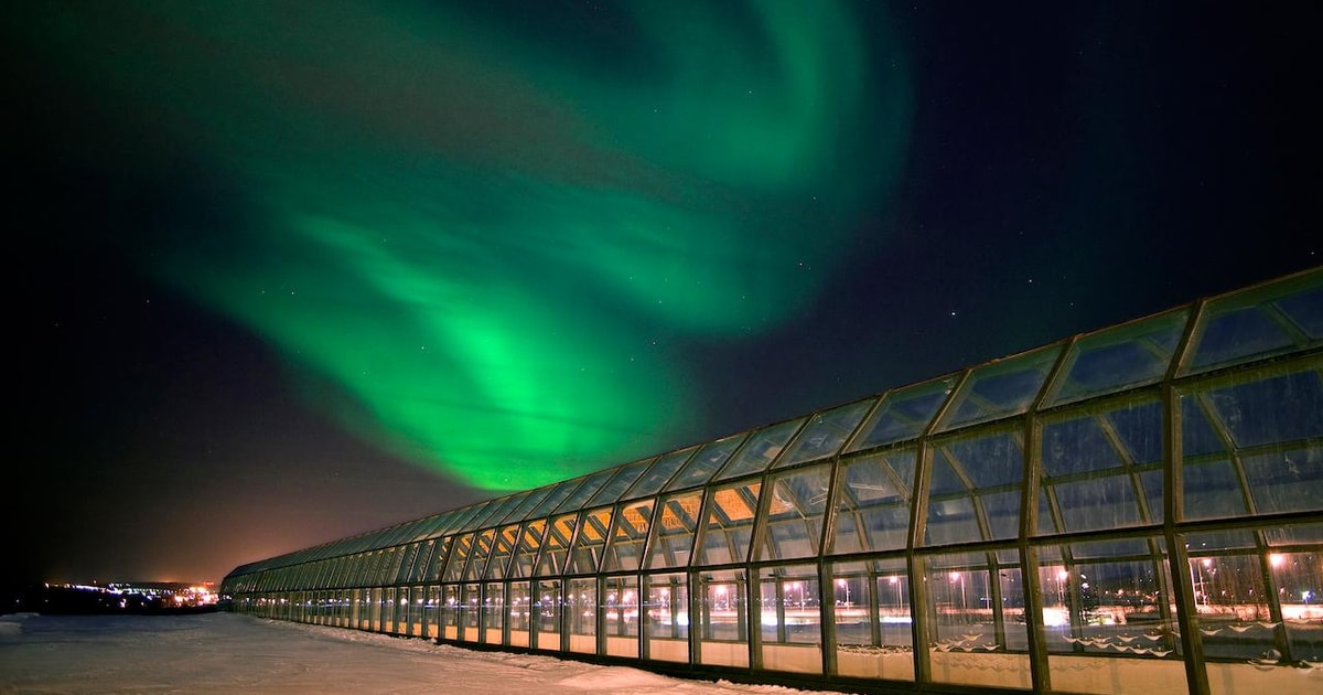 Rovaniemi: Arktikum Science Centre and Museum Entry Ticket | GetYourGuide