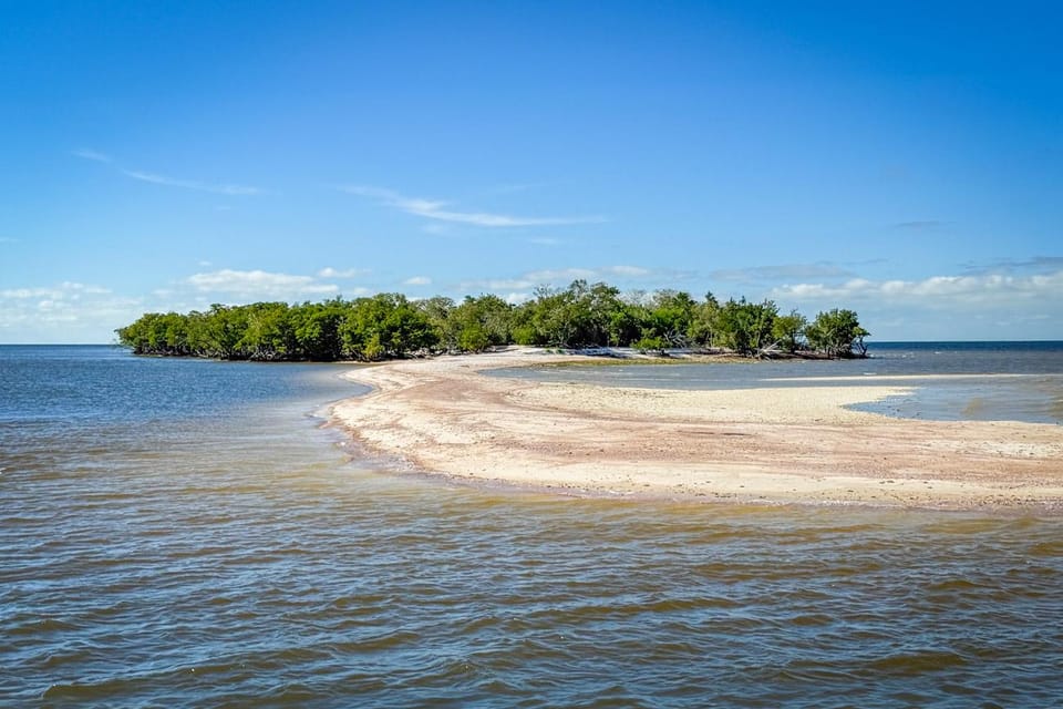 Everglades nationalpark: Pontonbåtstur & strandpromenad | GetYourGuide
